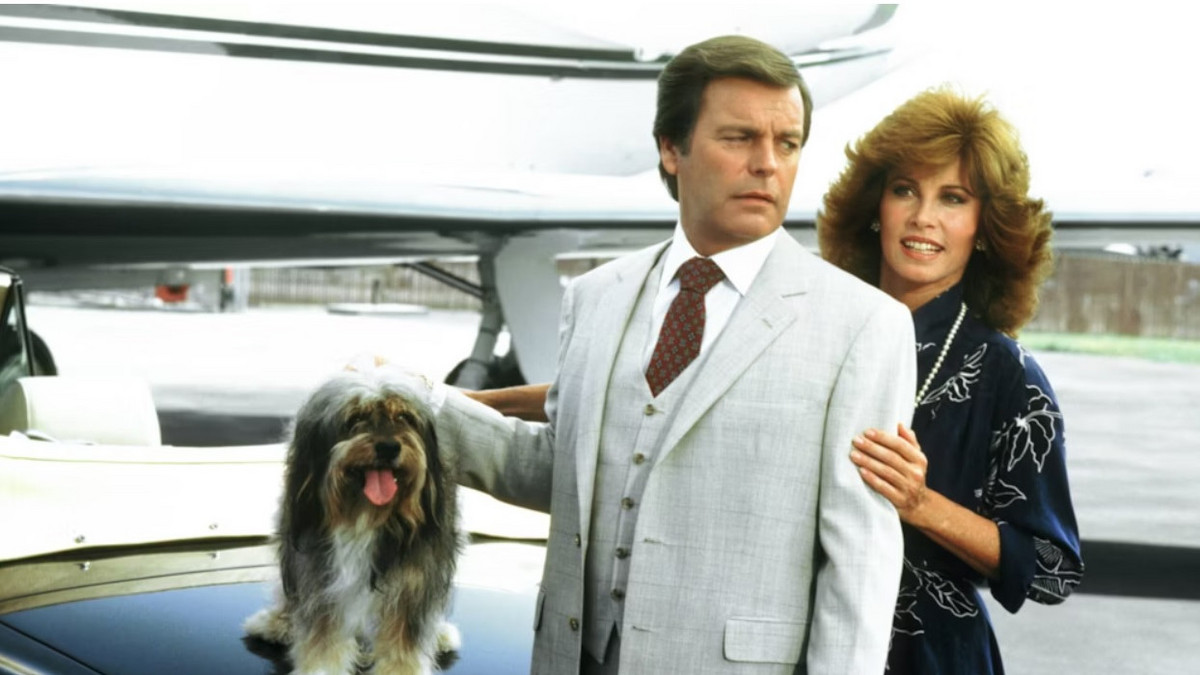 Hart aber herzlich: Kult-Krimi der 80er mit Hund Friedwart